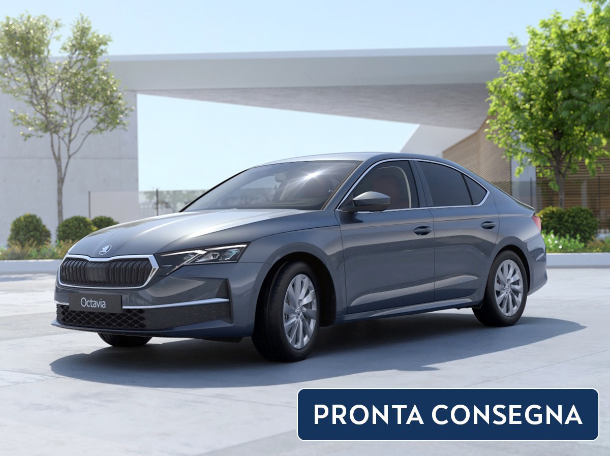Promozione Noleggio Lungo Termine Privati Skoda Octavia da Di Viesto ...